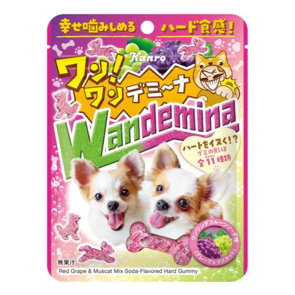 Kanro カンロ 60g ワンワンデミーナグミ (6×12)72入 (あすつく 優良配送) (数量限定 グミ 犬) (最短賞味期限2026.6月末) (ケース販売)(Y12) (レ) 本州 ...