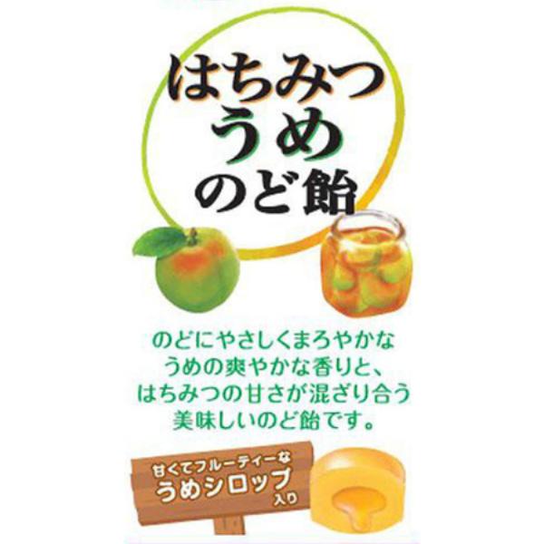 NOBEL ノーベル 110g はちみつうめのど飴 (6×2)12入 (はちみつ 梅 キャンディ) (Y80) 本州一部送料無料 : ゆっくんのお菓子倉庫ヤフー店 - 通販 - Yahoo ...