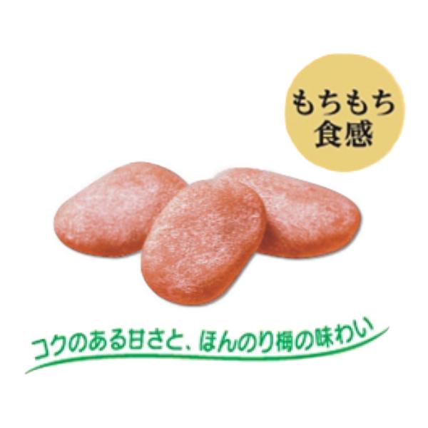 なとり 27g ねりうめ はちみつ味 (10×12)120入 (梅 ねり梅 うめぼし) (2ケース販売)(Y10) 本州一部送料無料 : ゆっくんのお菓子倉庫ヤフー店 - 通販 - Yahoo ...