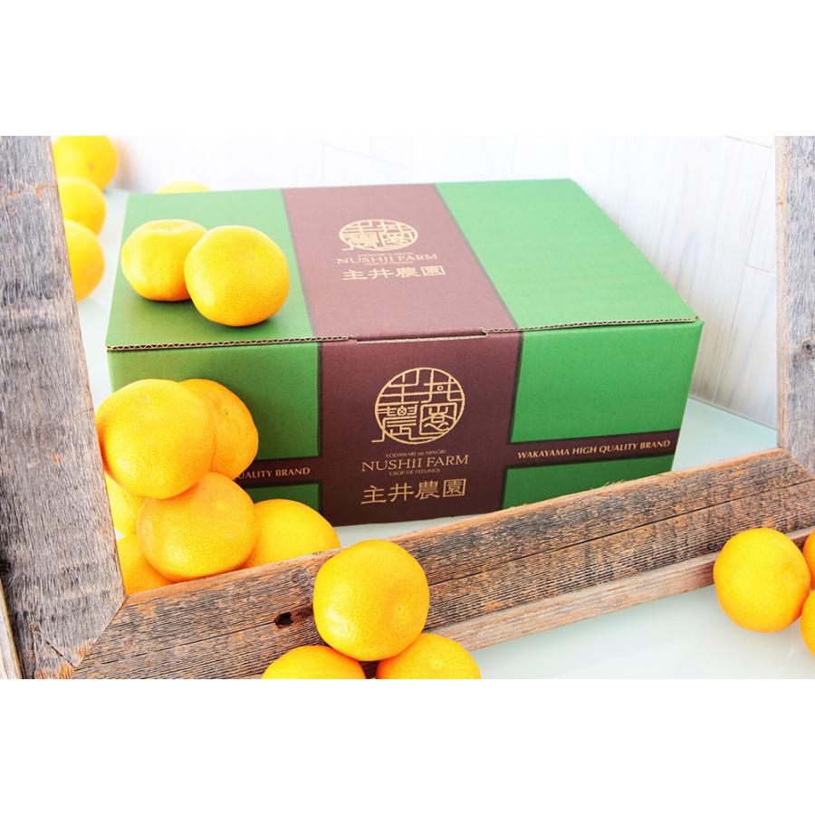 松兵衛みかん 約5kg 最高級ランク KSNM-02 主井農園 湯浅町 : ksnm-02 : 宝梅オンラインショップ Yahoo!店 - 通販 - Yahoo!ショッピング