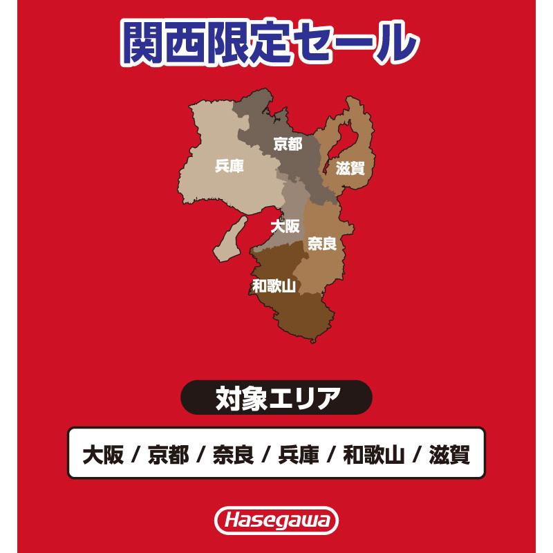 (6府県・配送先法人限定) 長谷川工業 脚伸縮専用脚立 RYZ-27d 9尺 ワンタッチバー 脚部伸縮式 天板高さ：2.51〜2.82m シルバー ハセガワ : 機械と工具のテイクトップ ...