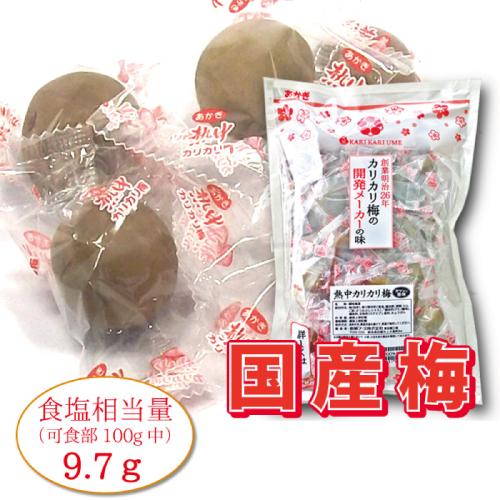 赤城フーズ 熱中カリカリ梅 業務用サイズ 480g 4袋セット ガツンとスッパしょっぱい国産カリカリ梅 : t999-nh-16-4 : 機械と工具のテイクトップ - 通販 - Yahoo ...