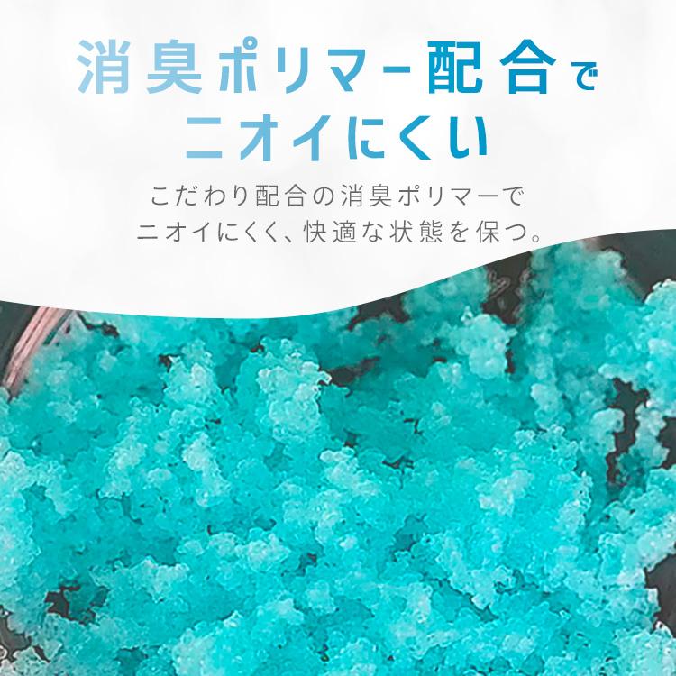 \数量限定 パッド2枚付き／ 大人用紙おむつ 紙パンツ 介護おむつ 大人用紙パンツ 介護 おむつ 超薄型 2回吸収 快適下着 リフィール アイリスオーヤマ NAD-2 : m110496 ...