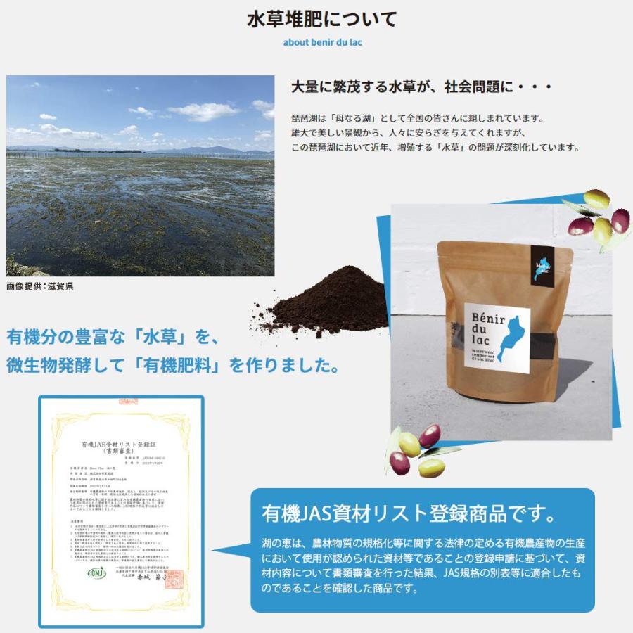湖の恵 350g 2袋セット 有機肥料 観葉植物 バーク堆肥 オーガニック肥料 匂わない肥料 室内向け : irokaguショップ - 通販 - Yahoo!ショッピング