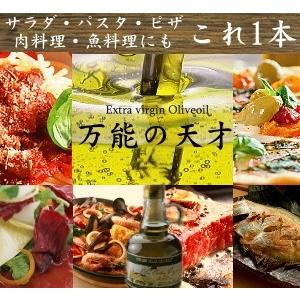 タマチャンショップ D.O.P／ルグリオ・エキストラバージン オリーブオイル 250ml（229g） こだわりのD.O.P認定〜EXVオリーブオイル : タマチャンショップ - 通販 ...