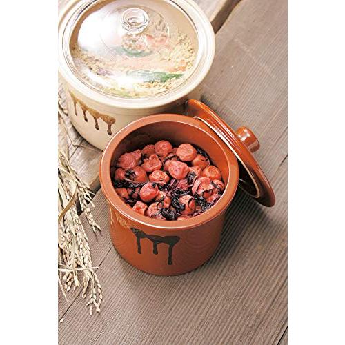 ヤマキイカイ(Yamakiikai) 漬物器 茶 9L 蓋付切立瓶5号 H12 : s-b009vv18zk-20231013 : たま実屋商店 - 通販 - Yahoo!ショッピング