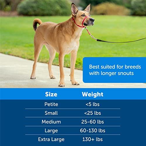 PetSafe ペットセーフ ジェントルリーダー ヘッドカラー クイックリリース（M フォーン ベージュ） : たまり堂 - 通販 - Yahoo!ショッピング