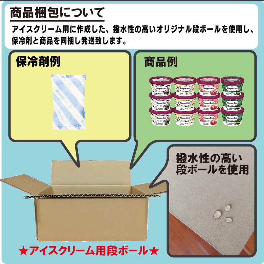 ハーゲンダッツ バニラ 業務用 2000ml 2個 セット 冷凍 : Tamonストア - 通販 - Yahoo!ショッピング