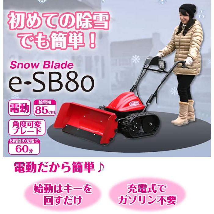 和同 電動スノーブレード e-SB80 リチウムイオン電池 営業所止めは送料無料！ : タナキカ - 通販 - Yahoo!ショッピング