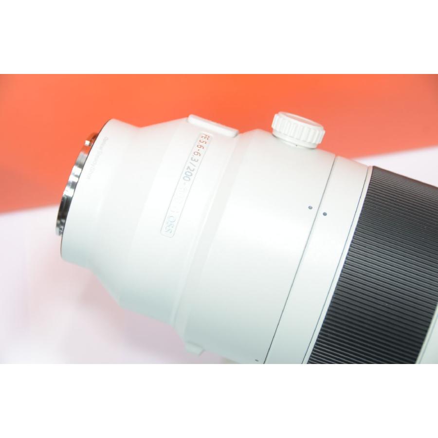 [ 美品] SONY FE200-600mm F5.6-6.3G OSS SEL200600G ソニー [管SO1975 : カメラの多成堂 ...