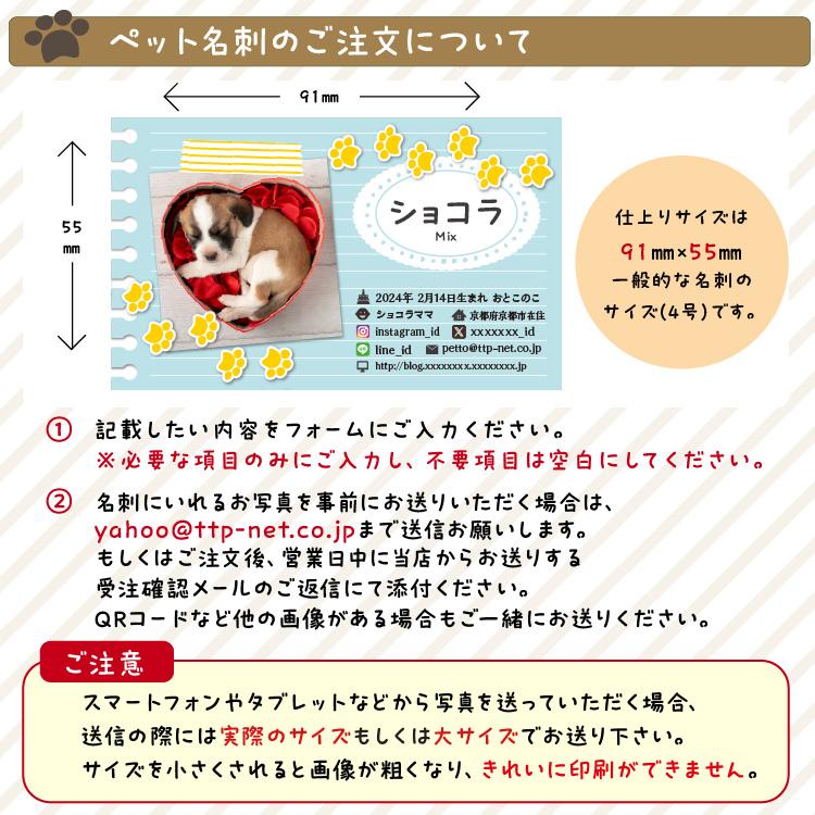 【校正確認あり】ペット名刺デザイン009 SNSメインのシンプル名刺（PETTO-009） : petto-009 : 京 洛南 吉祥堂 - 通販 - Yahoo!ショッピング