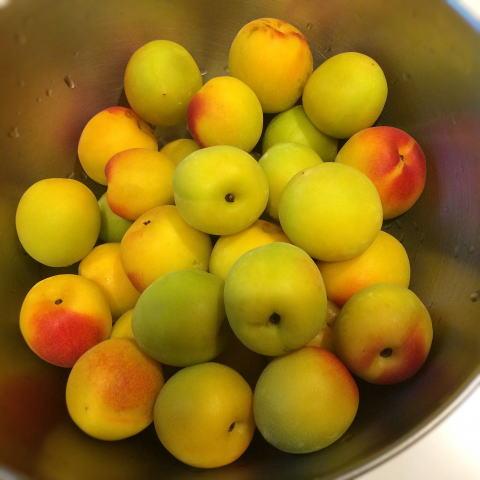 梅漬 100g 無肥料無農薬の自然栽培完熟梅を使用 岐阜県飛騨高山産 無添加 無化学調味料 無着色 砂糖は不使用 土用干しをしない優しさがあり ...