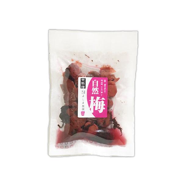 梅漬 100g 無肥料無農薬の自然栽培完熟梅を使用 岐阜県飛騨高山産 無添加 無化学調味料 無着色 砂糖は不使用 土用干しをしない優しさがあり ...
