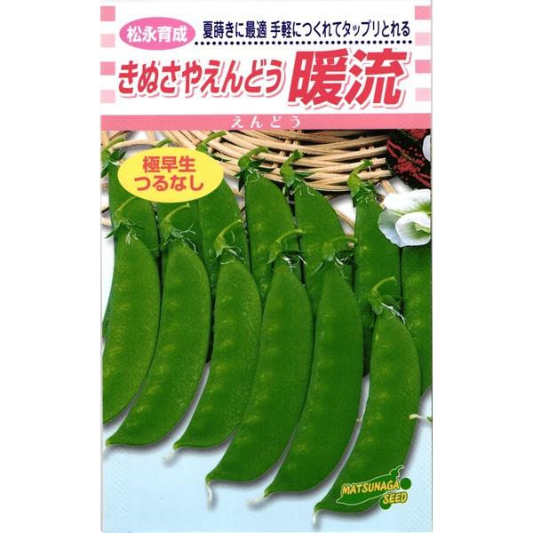 さやエンドウ 種 『暖流』 松永種苗/小袋（20ml） : mns-044-1 : 種兵ネットショッピング - 通販 - Yahoo!ショッピング