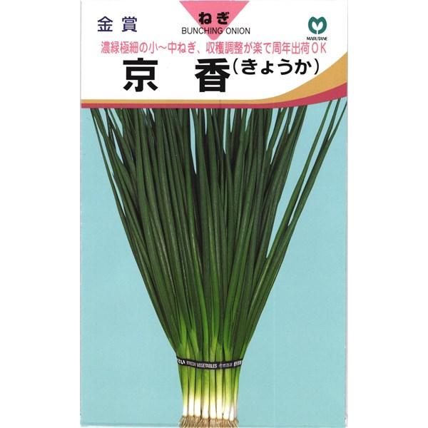 葉ネギ 種 『京香』 丸種/2dl :mrt-172-4:種兵ネットショッピング - 通販 - Yahoo!ショッピング