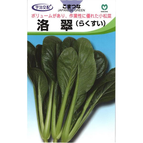 コマツナ 種 『洛翠小松菜』 丸種/小袋（7ml） : 種兵ネットショッピング - 通販 - Yahoo!ショッピング