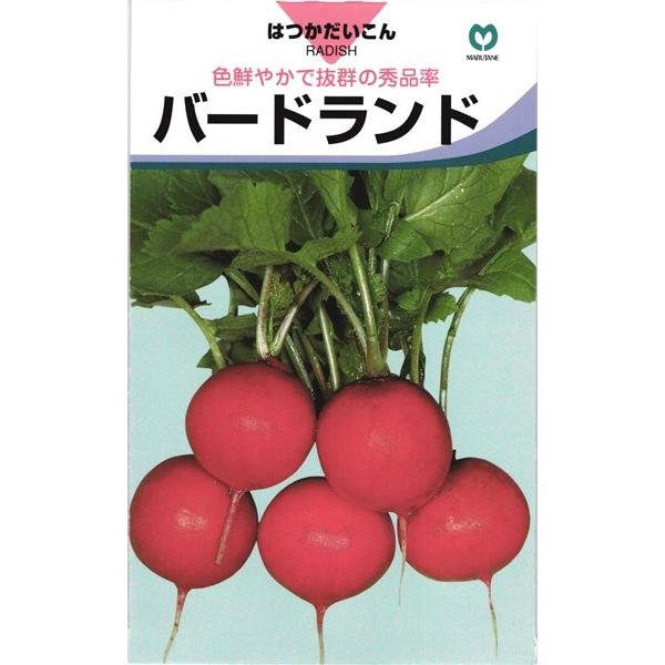 二十日ダイコン 種 『バードランド』 丸種/2dl : 種兵ネットショッピング - 通販 - Yahoo!ショッピング