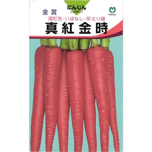 金時ニンジン 種 『真紅金時』 丸種/2dl : mrt-293-4 : 種兵ネットショッピング - 通販 - Yahoo!ショッピング