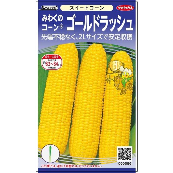 スイートコーン 種 『みわくのコーン・ゴールドラッシュ』 サカタのタネ/小袋（粒数目安60粒） : skt-121-1 : 種兵ネットショッピング - 通販 - Yahoo!ショッピング