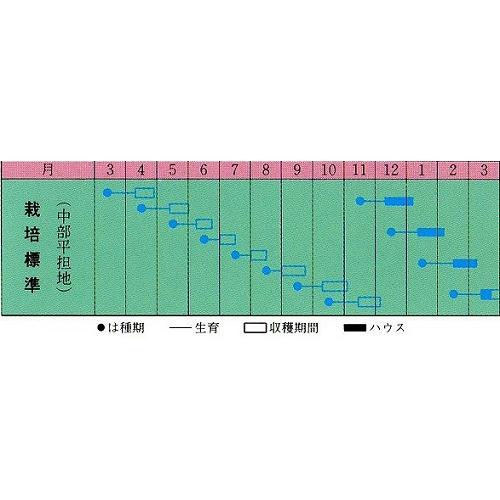 アサヒ農園 ハダイコン 葉大根 げんきな 2dl : 種苗・園芸ショップ 種もり - 通販 - Yahoo!ショッピング