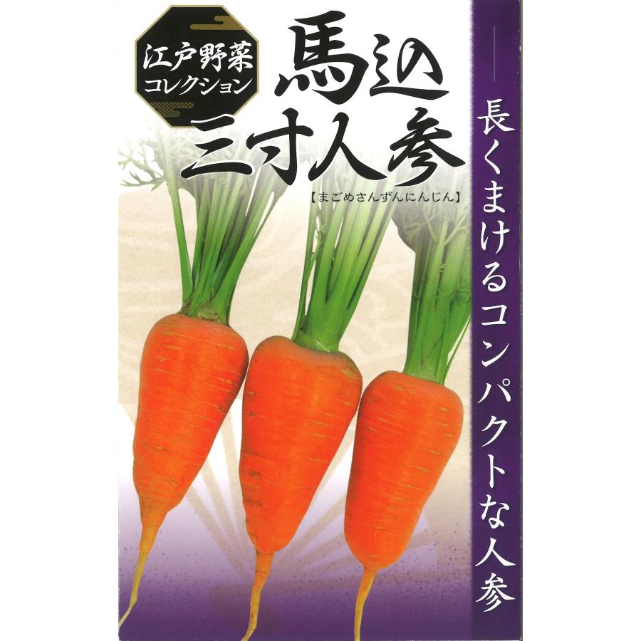 日本農林 ニンジン 人参 にんじん 馬込三寸 1dl : 種苗・園芸ショップ 種もり - 通販 - Yahoo!ショッピング