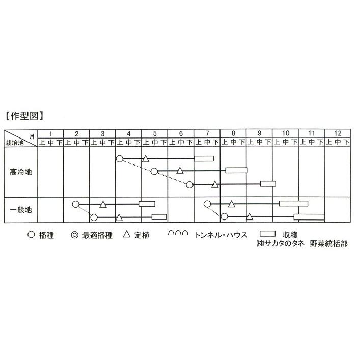 サカタのタネ ブロッコリー SK9-099 2000粒 : 種苗・園芸ショップ 種もり - 通販 - Yahoo!ショッピング