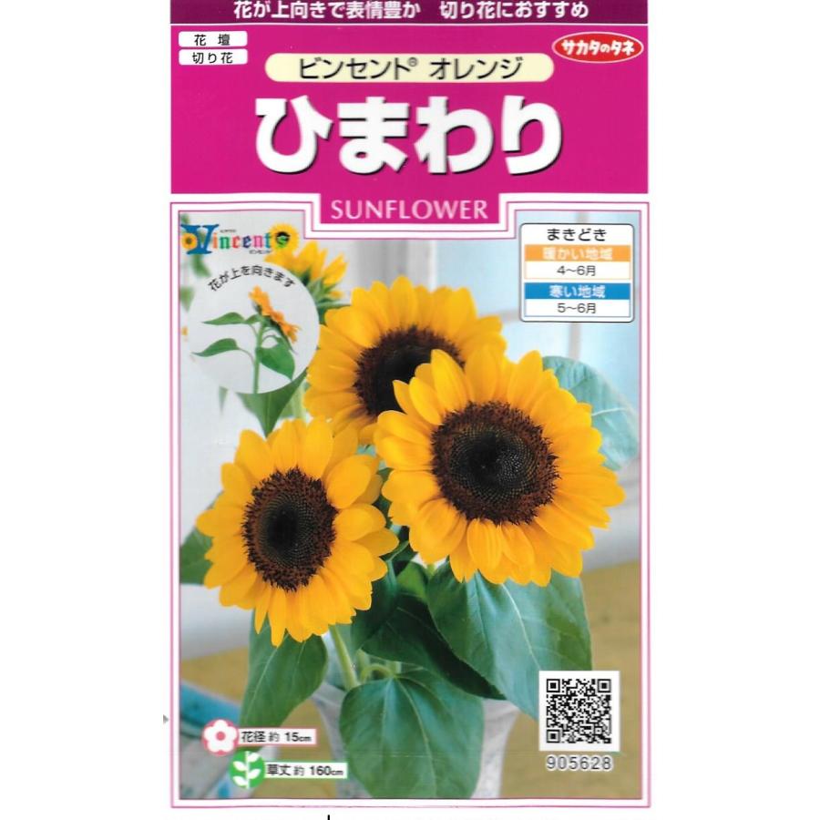 ひまわり ビンセント オレンジ 小袋 15粒入り 郵便発送商品 : fm9056286 : タネのノザキ ヤフー店 - 通販 - Yahoo ...