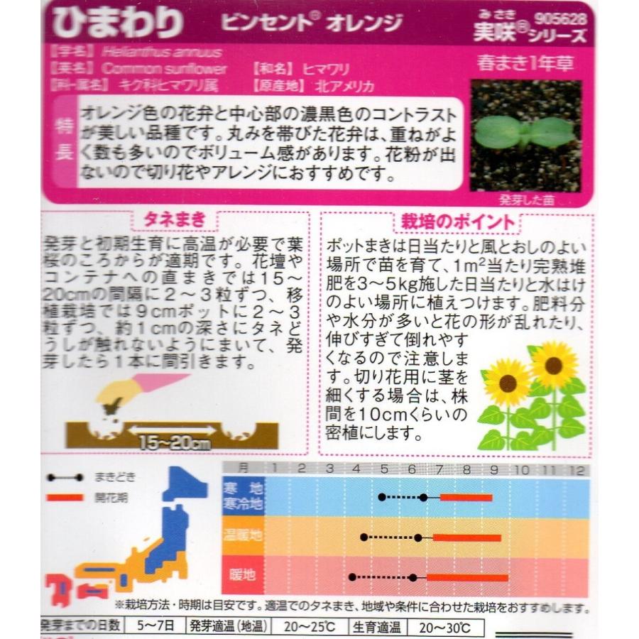 ひまわり ビンセント オレンジ 小袋 15粒入り 郵便発送商品 :FM9056286:タネのノザキ ヤフー店 - 通販 - Yahoo!ショッピング