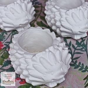 はりねずみ鉢 白鉢 陶器鉢 蝶鉢 多肉永遠鉢 : 多肉永遠支店 - 通販 - Yahoo!ショッピング