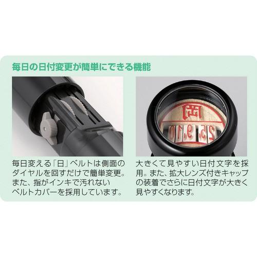 データーネームEX15号 キャップ式 本体＋印面（氏名印：石原）セット XGL−15H−R＋15M （0210 イシハラ） （メーカー直送 ...