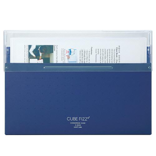 LIHIT LAB. リヒトラブ CUBE FIZZ コングレスケース A4ヨコ 300枚収容 イエロー A−6024−5 1個 （お取寄せ品） : ぱーそなるたのめーる - 通販 ...