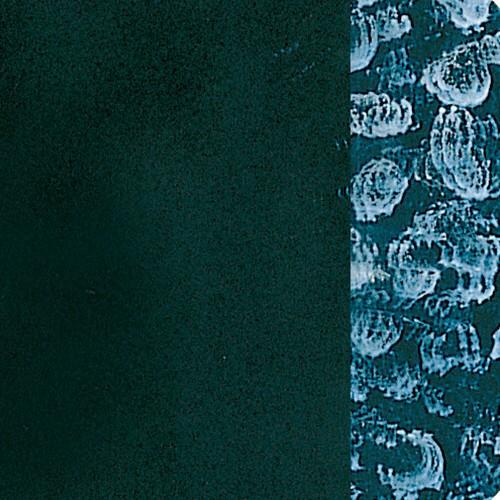 アズマ工業 アズマ工業 アズマジック 鏡用磨き剤 CH851 30g 1個 （お取寄せ品） : ぱーそなるたのめーる - 通販 - Yahoo!ショッピング