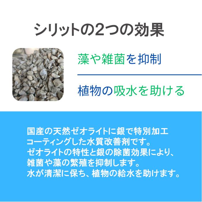 水質改善剤 silite （シリット） 100ml用 :SIL-100:タノシミドリ Yahoo!店 - 通販 - Yahoo!ショッピング