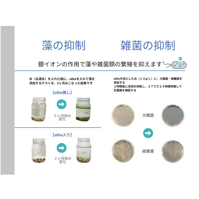 水質改善剤 silite （シリット） 100ml用 : タノシミドリ Yahoo!店 - 通販 - Yahoo!ショッピング