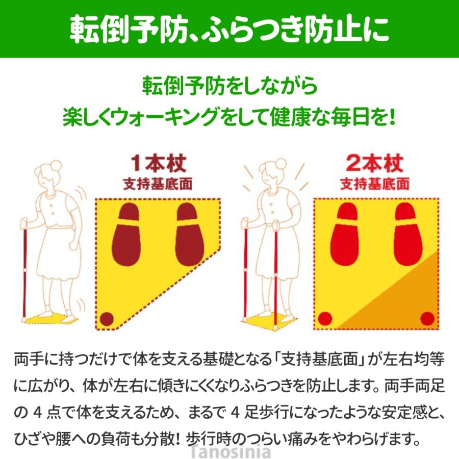 SINANO（シナノ） あんしん2本杖 2本1組 介護 高齢者 杖 ウォーキング