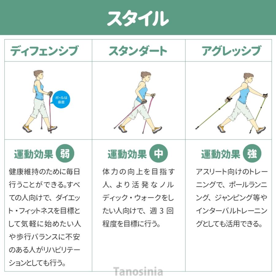 杖 両手 2本 折りたたみ 軽量 ウォーキングポール 介護 高齢者 2本杖 コンパクト 持ち運び キザキ 歩ミングポール APBC-ZG14 2本セット 60 70代 80代 日本製 ...