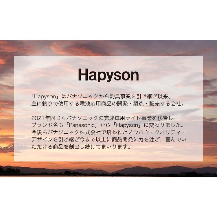 自転車 ソーラーオートテール テールライト YB-600 ダークグレー Hapyson ハピソン 自動点滅・消灯 後ろドロヨケ取付タイプ : 自転車グッズのキアーロ - 通販 - Yahoo ...