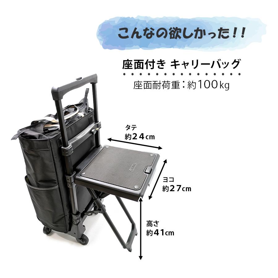 【SWANY】D630-L21 ポルド 座面付きキャリーバッグ : swy-d630l21 : TascheJack - 通販 - Yahoo!ショッピング