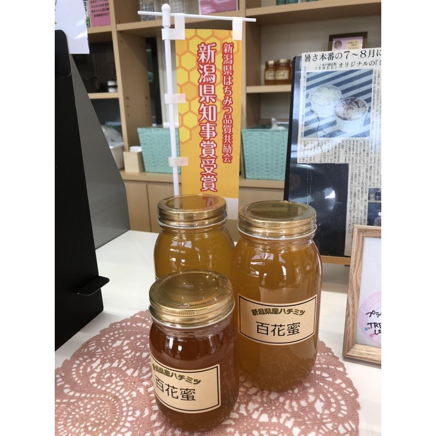 SALUS ハニーディスペンサー（受皿式)と新潟産 天然はちみつ 百花蜜500gセット : テイストジャパン - 通販 - Yahoo!ショッピング