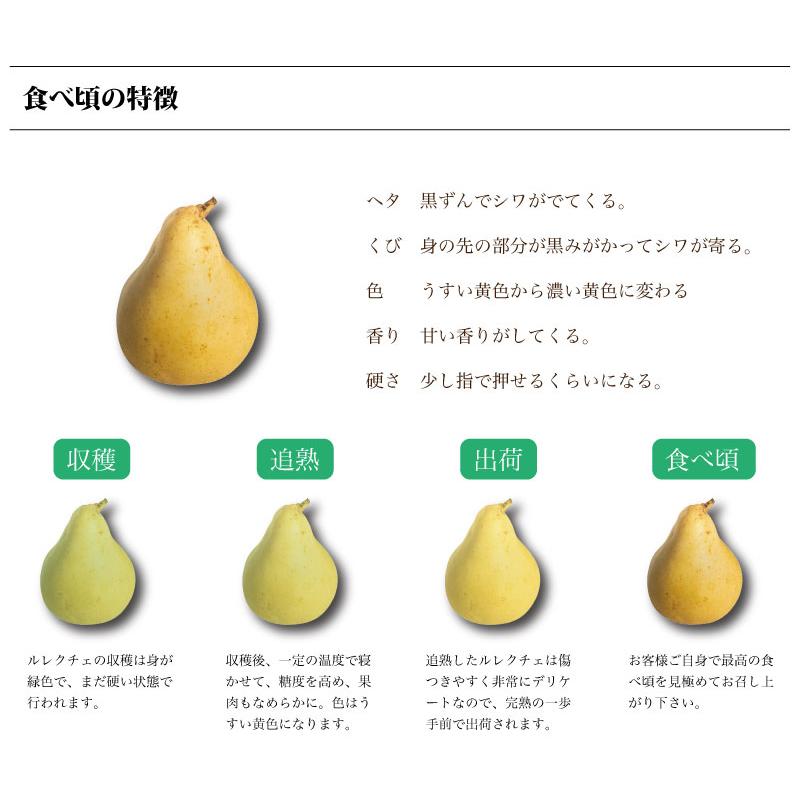 【予約受付中】ルレクチェ 洋梨 良品 家庭用 4kg (9〜11玉) 生産者・高橋農園 新潟県産 お歳暮 ギフト 贈り物 : テイストジャパン - 通販 - Yahoo!ショッピング