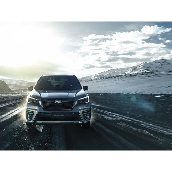 57734SJ060【スバル純正】フロントバンパーガード(樹脂製)アクセントシルバー塗装加飾付【SUBARU】フォレスター(SK)Sport ...