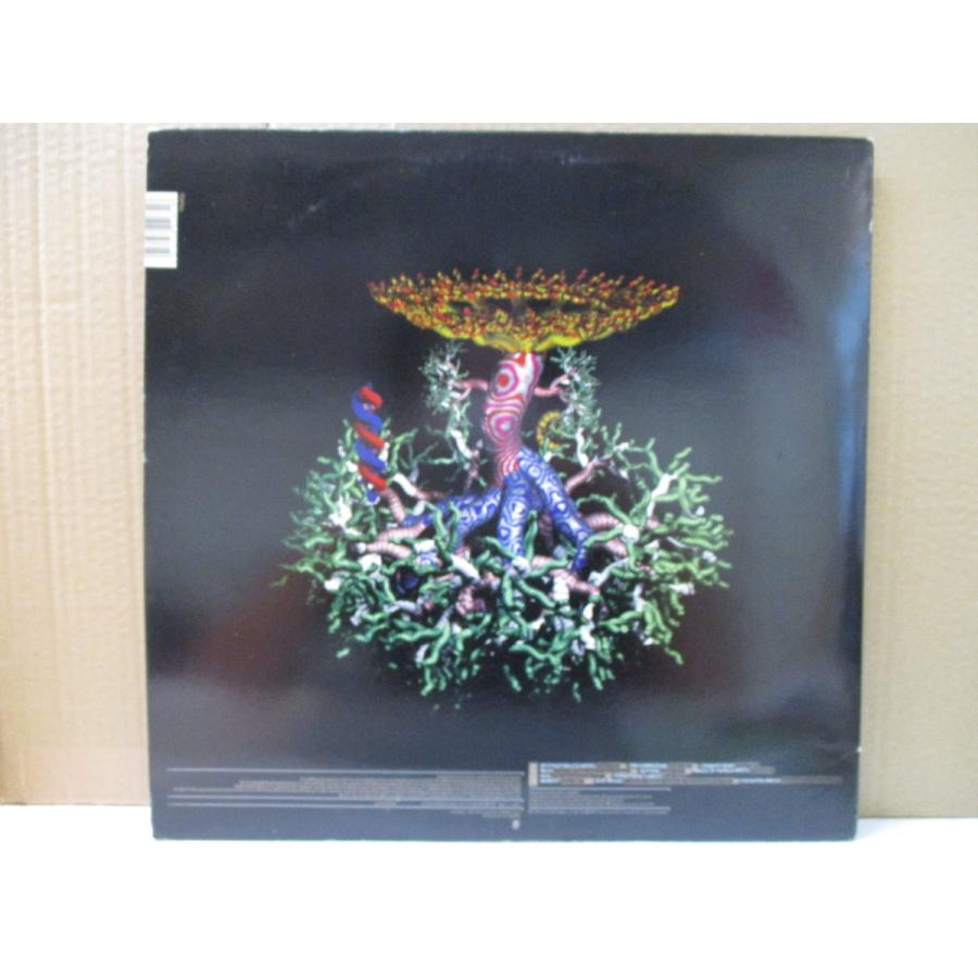 SHAMEN, THE-Axis Mutatis (UK Orig.2xLP) : TIME BOMB RECORDS - 通販 ...