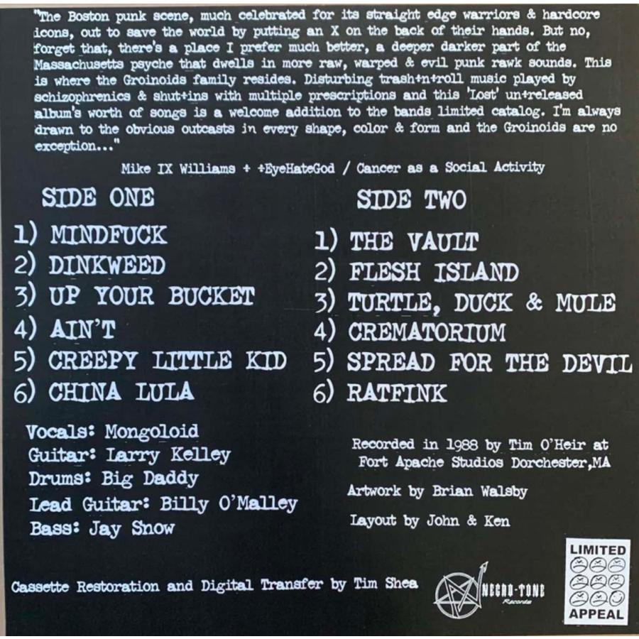 GROINOIDS-Lost (US 300 Limited LP+Siklscreen CVR / New) : TIME BOMB ...