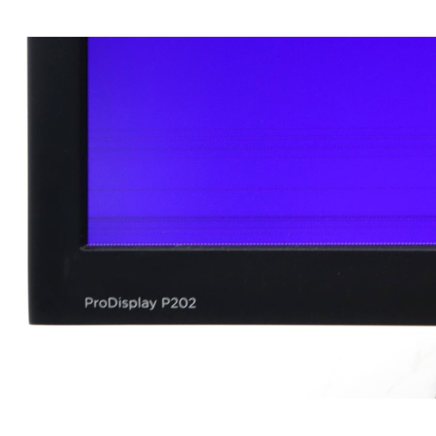 【JUNK】hp ProDisplay P202 Monitor 20インチ非光沢パネル HD+ 1600x900ドット ...