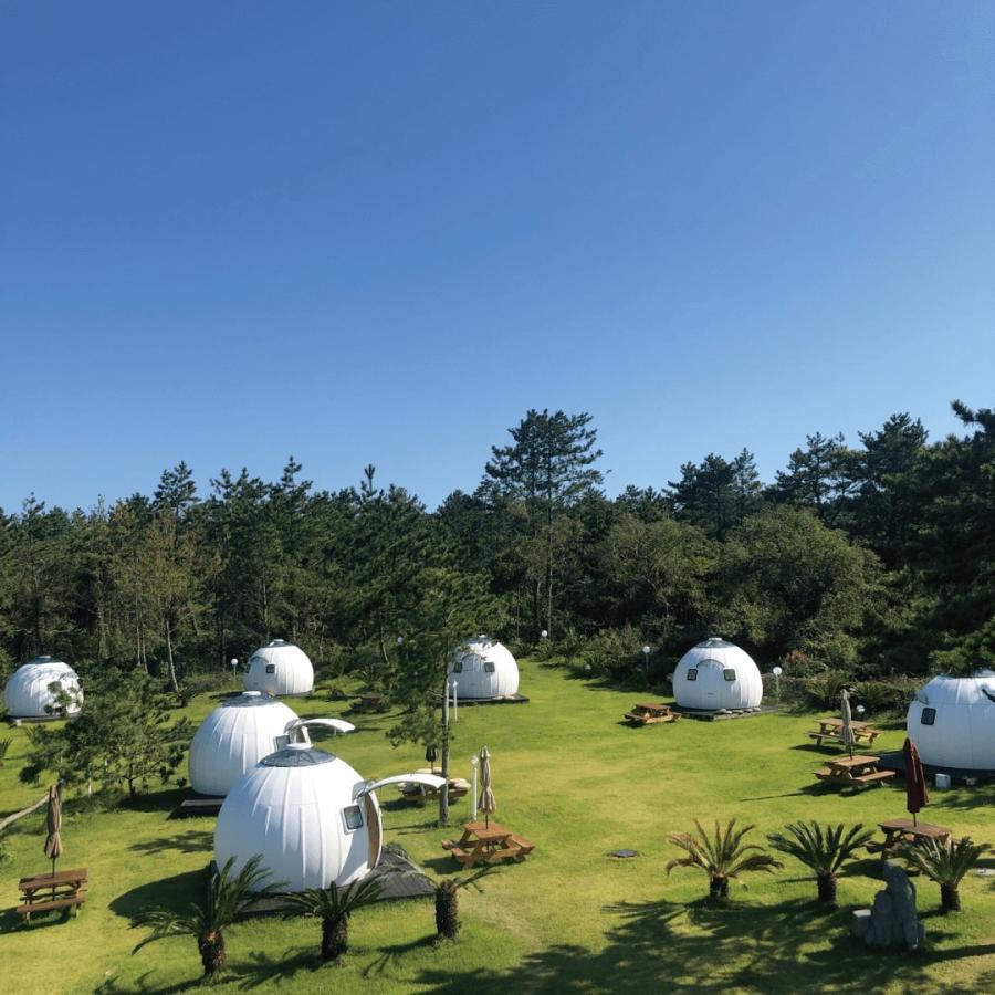 EZDOME HOUSE(イージードーム ハウス)/本体 : EZDOME JAPAN EZDOME HOUSE(イージードーム ハウス)/本体 : EZDOME JAPAN