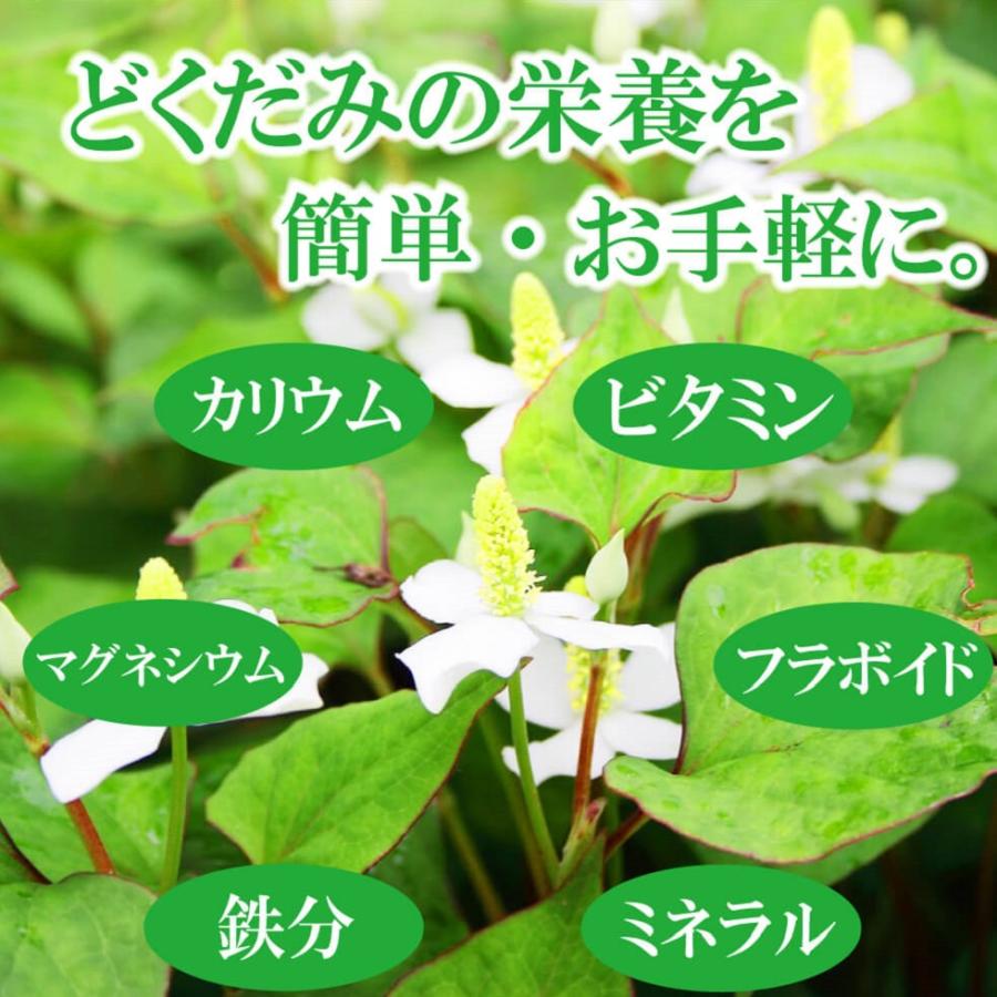 どくだみ茶 3g 50P 送料無料 ドクダミ ノンカフェイン 健康 健康茶 美容 美容茶 美味しい おいしい クエルシトリン イソクエルシトリン ケルセチン ya : わが家のちゃぶ台 ...