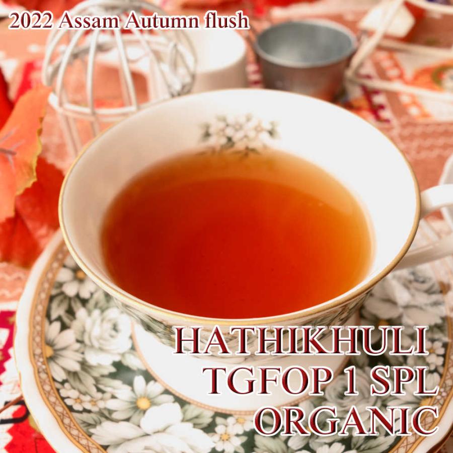 紅茶 アッサム ハティクリ茶園 オータム TGFOP 1 SPL ORGANIC O357/2022 50g 茶葉 リーフ :0100230-050:茶専科ティチャイチャイ - 通販 ...