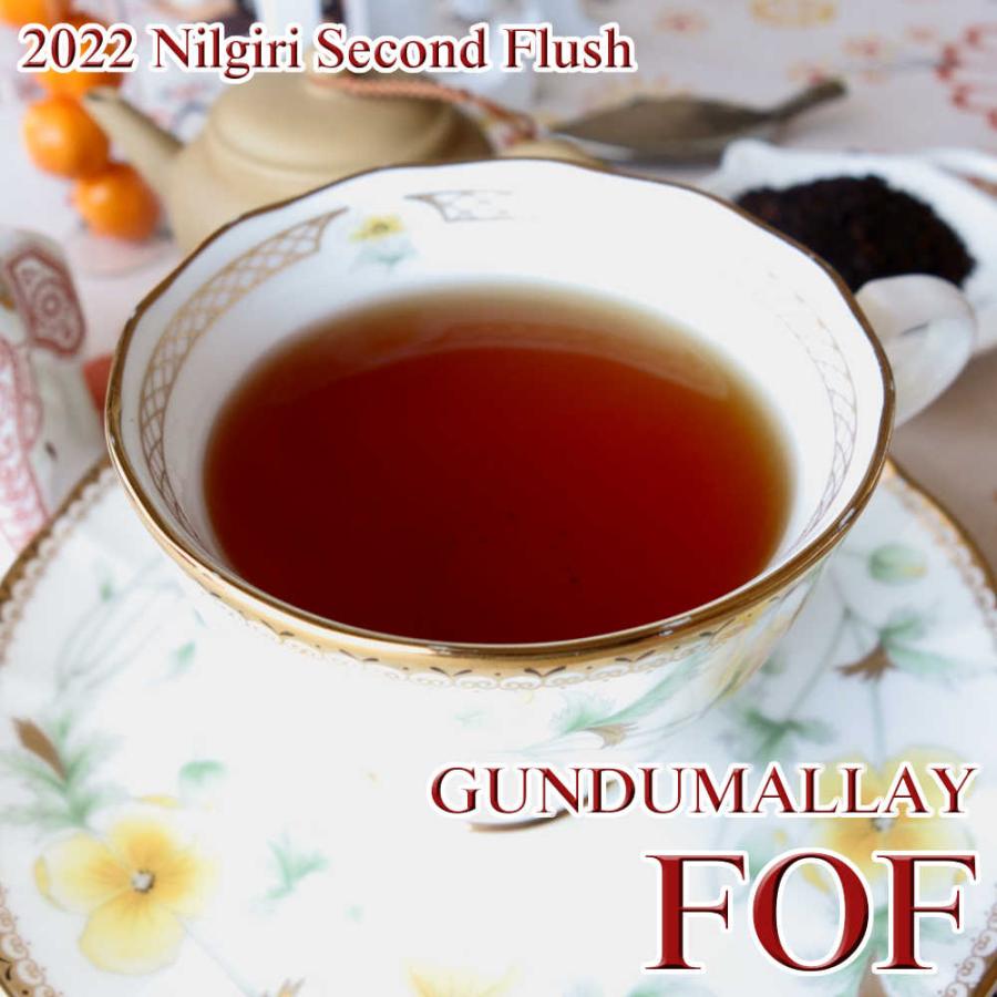 紅茶 ニルギリ ガンダマレイ茶園 セカンド FOF 578/2022 50g茶葉 リーフ : 0100302-050 : 茶専科ティチャイチャイ - 通販 - Yahoo!ショッピング