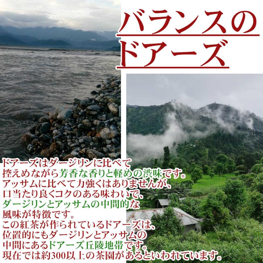 紅茶 ドアーズ マラプール茶園 ファースト FTGFOP1 PREMIUM O17/2022 50g茶葉 リーフ : 0100601-050 : 茶専科ティチャイチャイ - 通販 ...