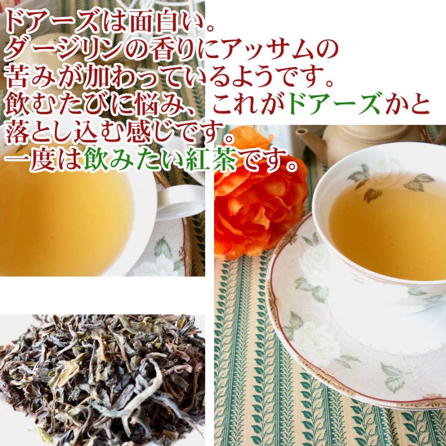 紅茶 ドアーズ マラプール茶園 ファースト FTGFOP1 PREMIUM O17/2022 50g茶葉 リーフ : 0100601-050 : 茶専科ティチャイチャイ - 通販 ...